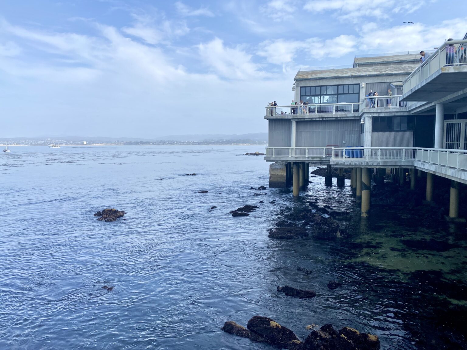 【モントレー・カーメル】カリフォルニアベイエリア在住者が激選するおすすめスポット - Chiposa's Blog