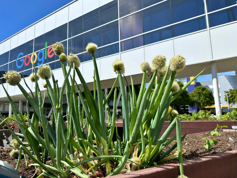 Google本社「Googleplex」潜入！ITの街シリコンバレー観光 - Chiposa's Blog